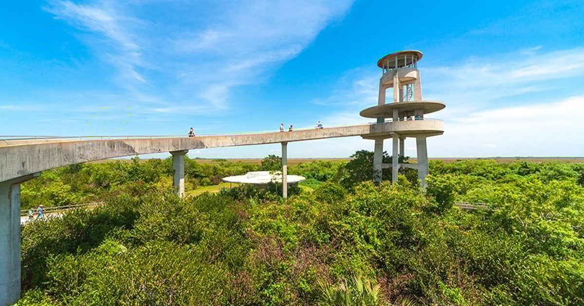 a beautiful view of the tower