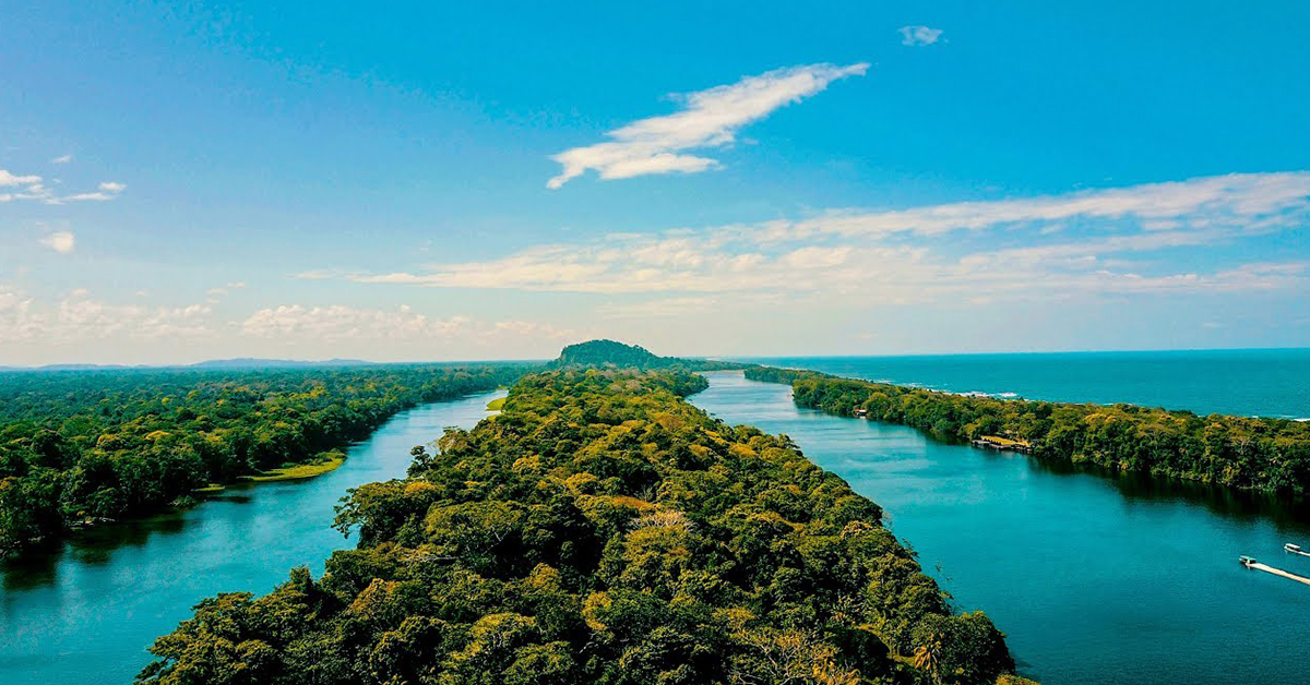 A bird's eye view of Tortuguero National Park.