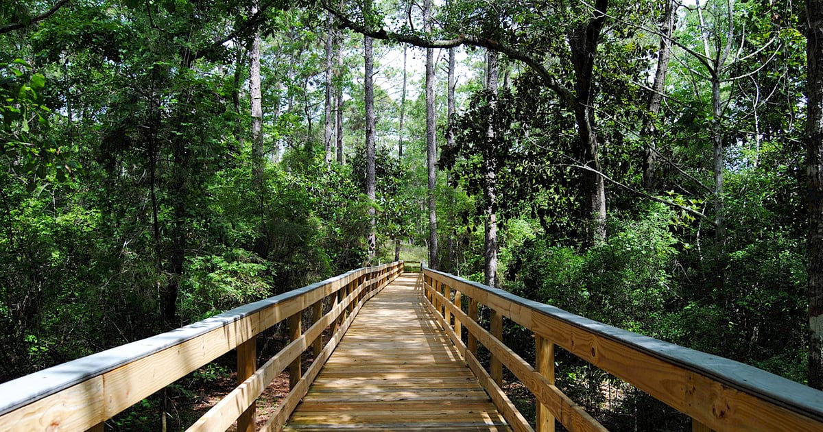 a boarwalk leading to the waterfall
