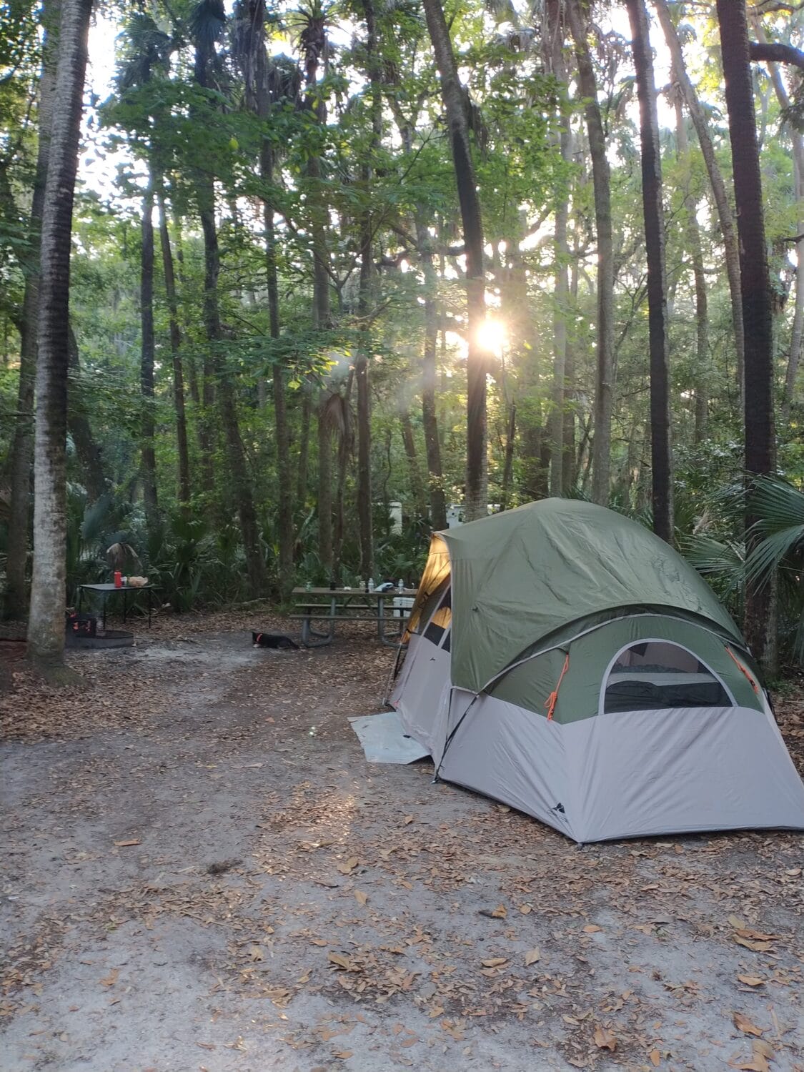 A camping experience in the park.
