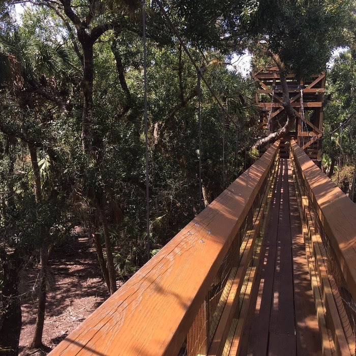 a canopy walkway stretches straight ahead surrounded by the dense greenery of a forest inviting an adventurous stroll amongst the treetops