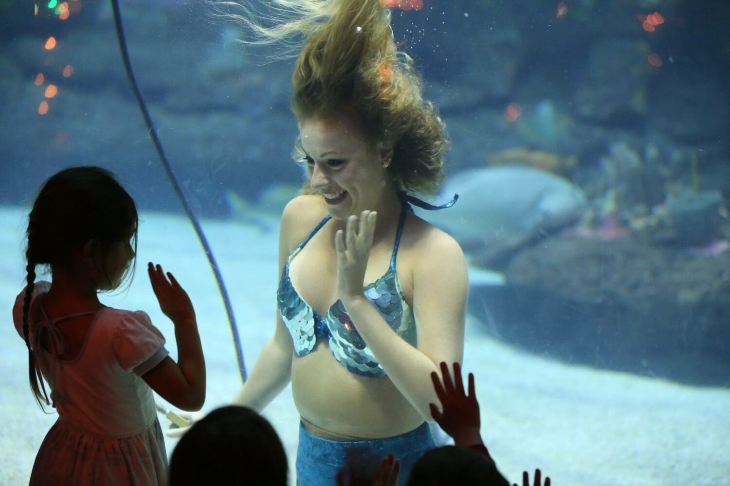 a close encounter with a mermaid