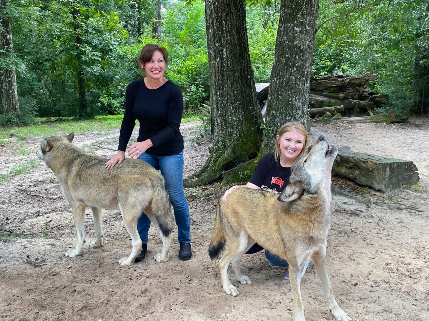 A close encounter with these furry animals