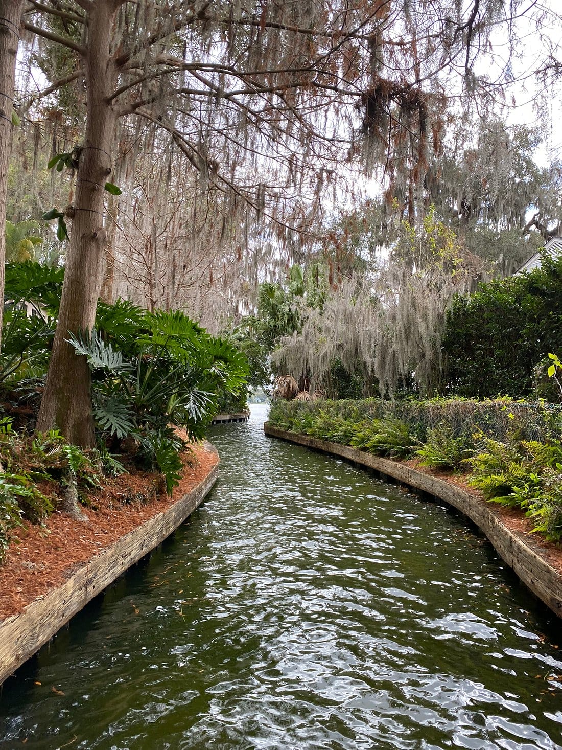 A different shot of the canal in winter park