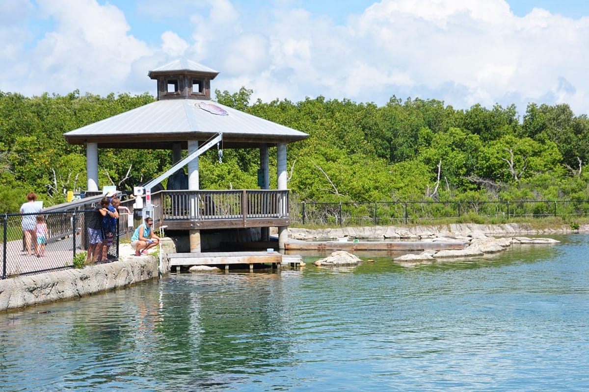 a family enjoying the view of the lagoon