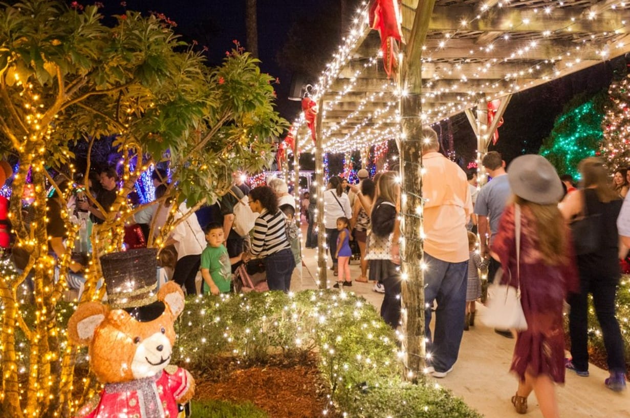 a flock of tourists enjoying the lights