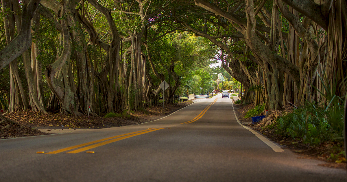 A low angle view of the tunnel
