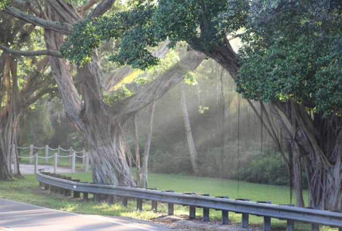 a magical sight along the way