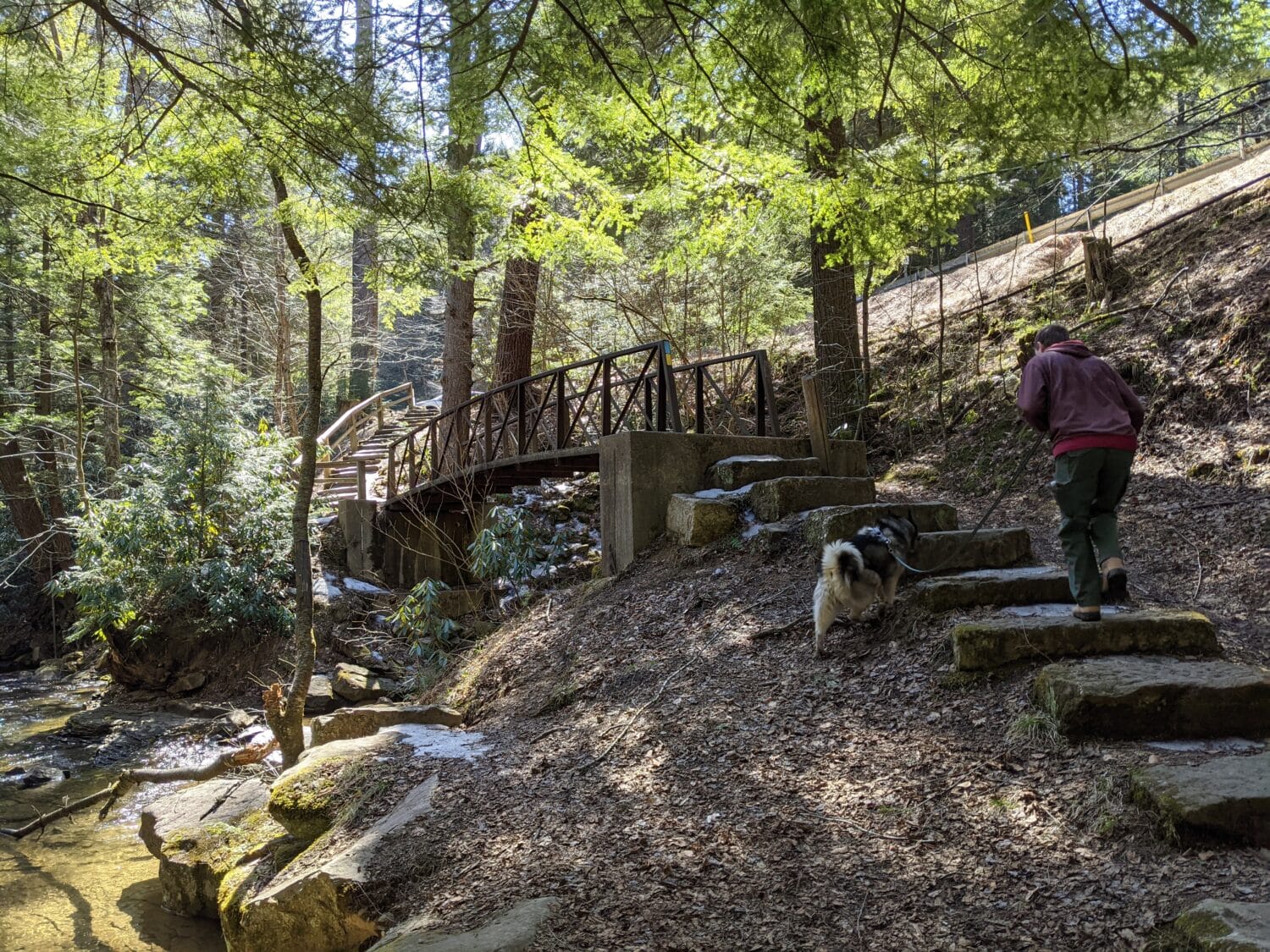 A man hiking in the trail.