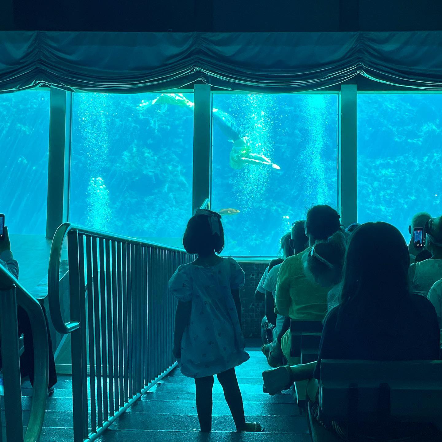 A live mermaid show with audiences.