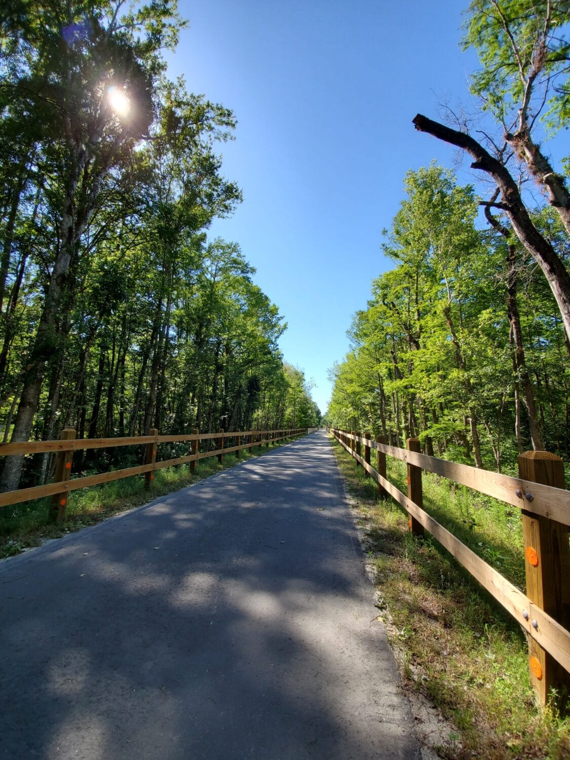 A nice image of a bike pathway.