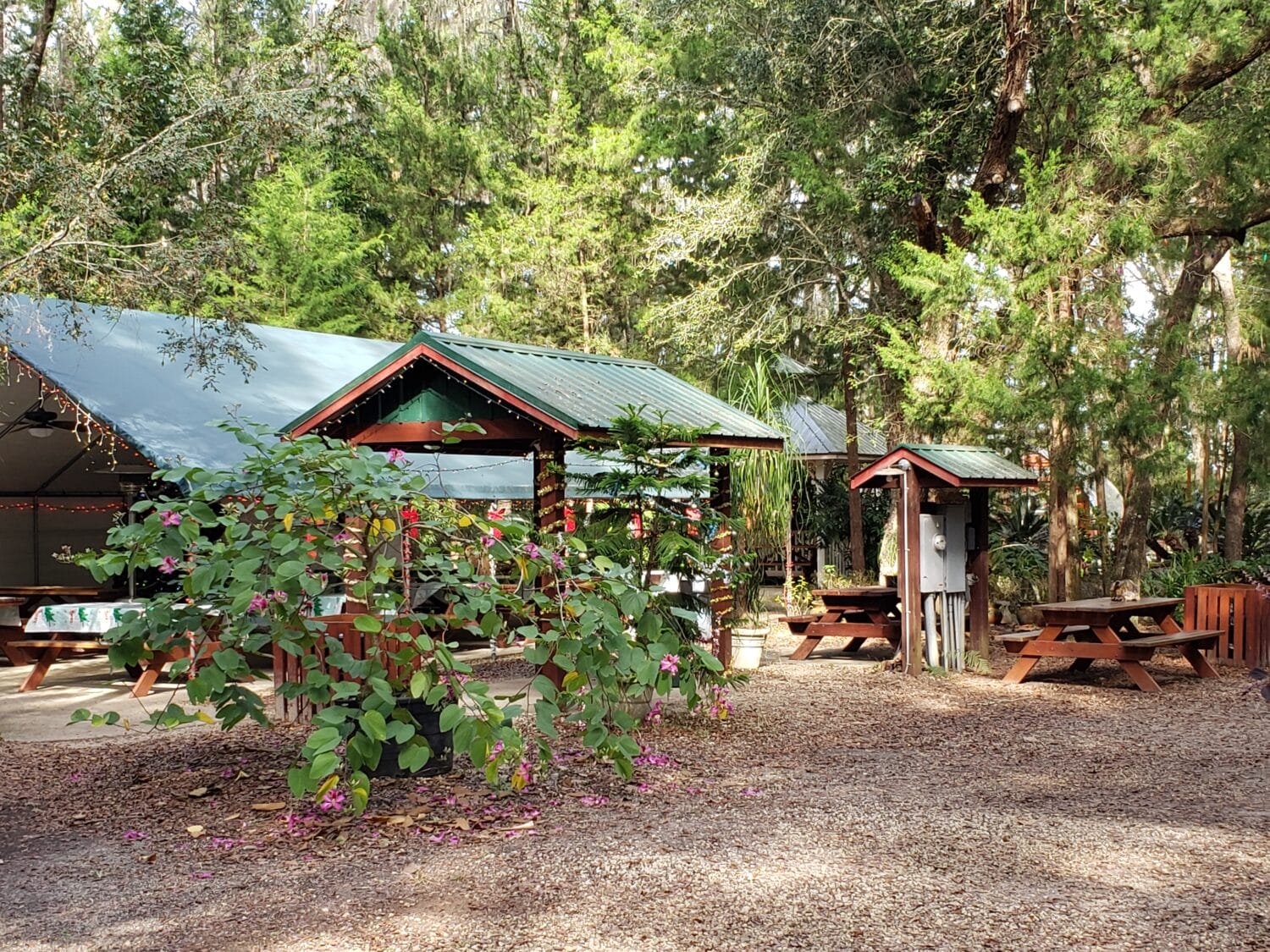 A nice place to rest and for sightseeing.