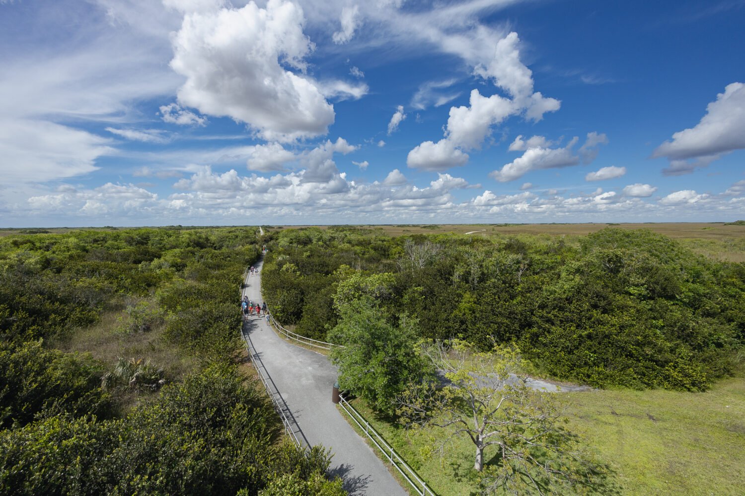 A panoramic view of the park