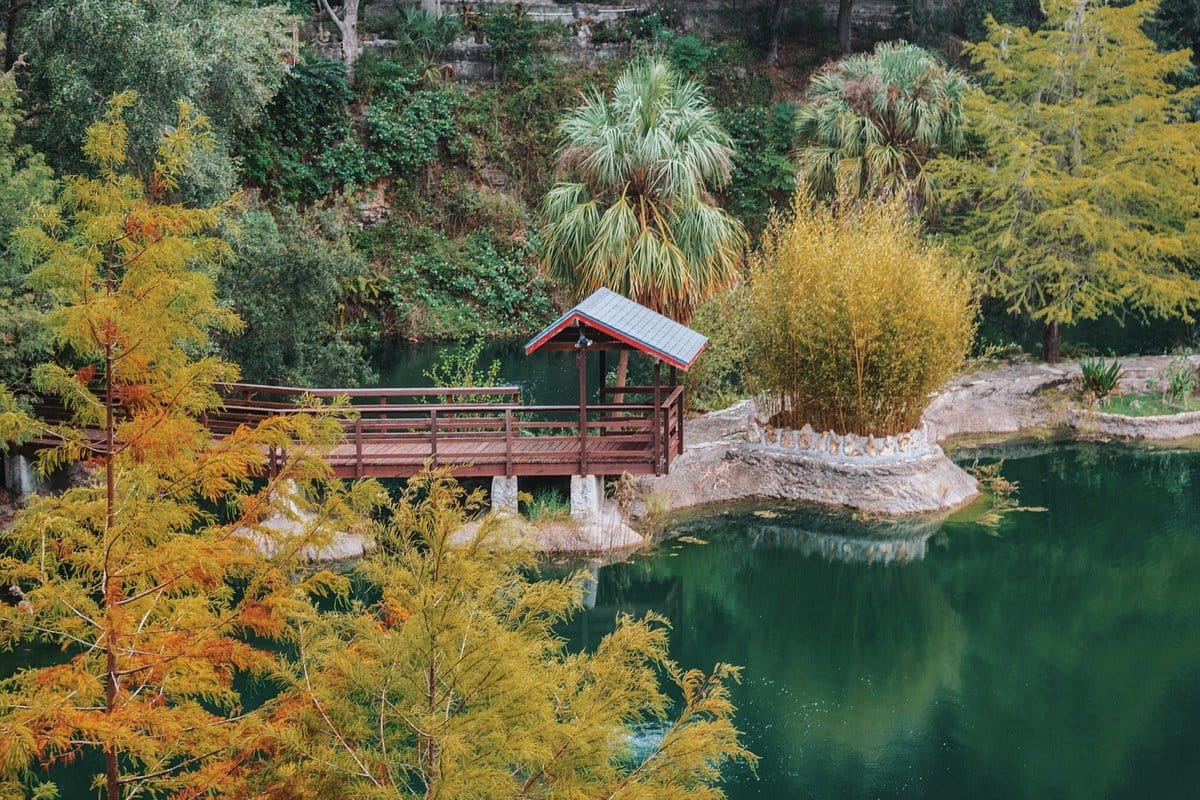 A peaceful image of the garden.