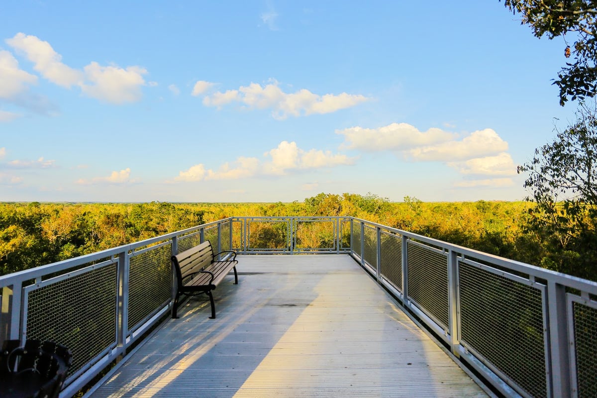 A peaceful spot for bid watching