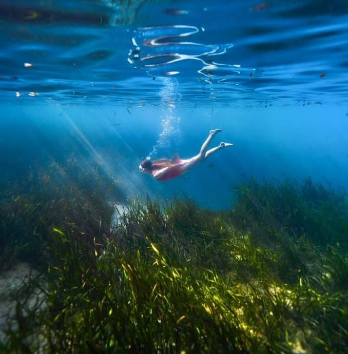 a person swimming in the springs