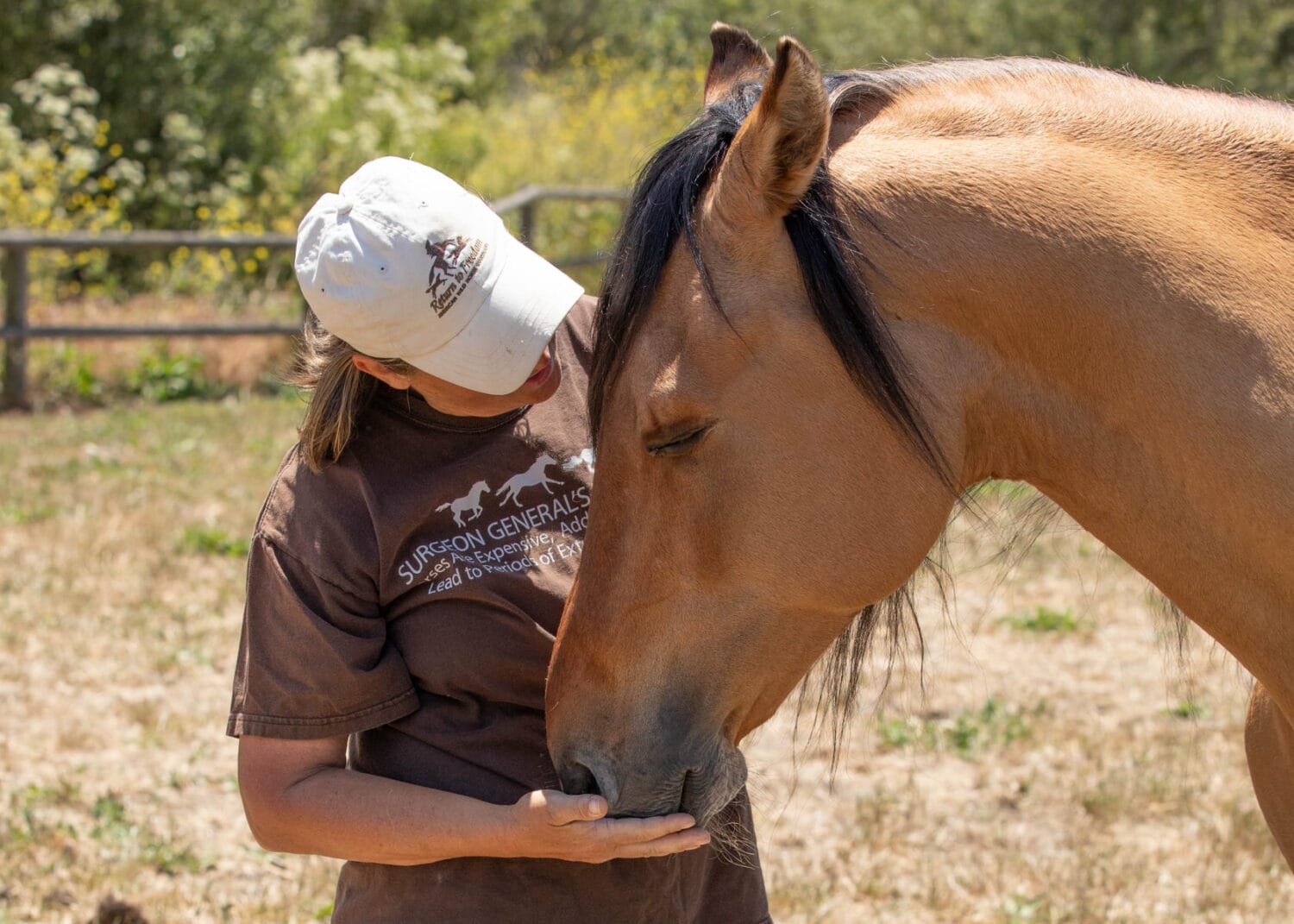 A picture of a staff member and a healthy horse