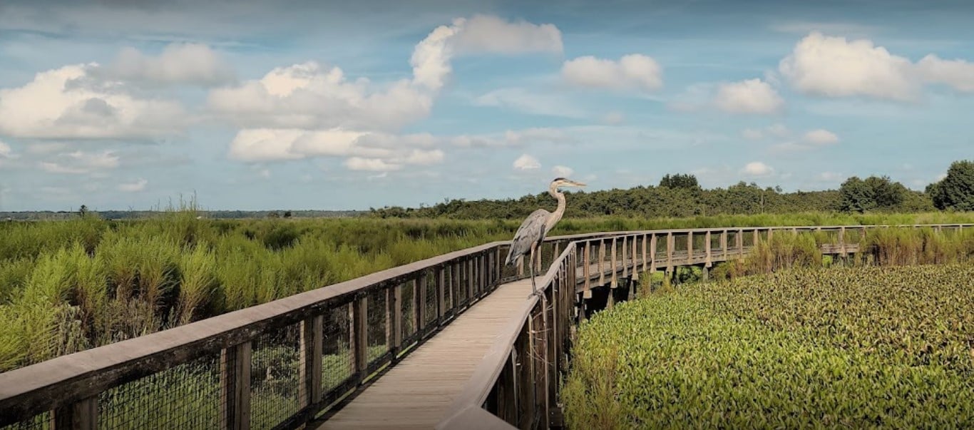 a picture of the bird along the trail