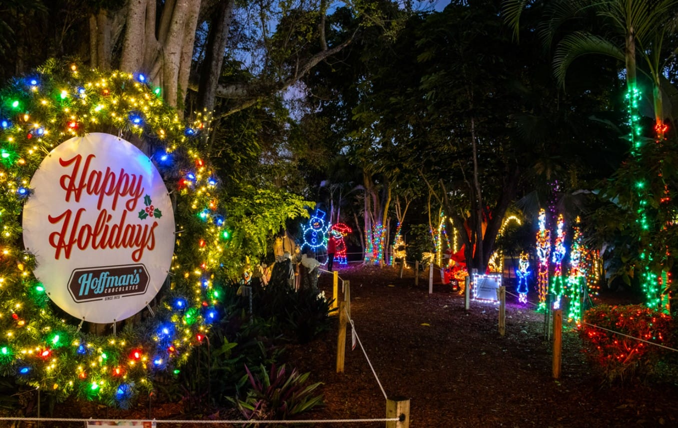 a picture of the twinkling lights