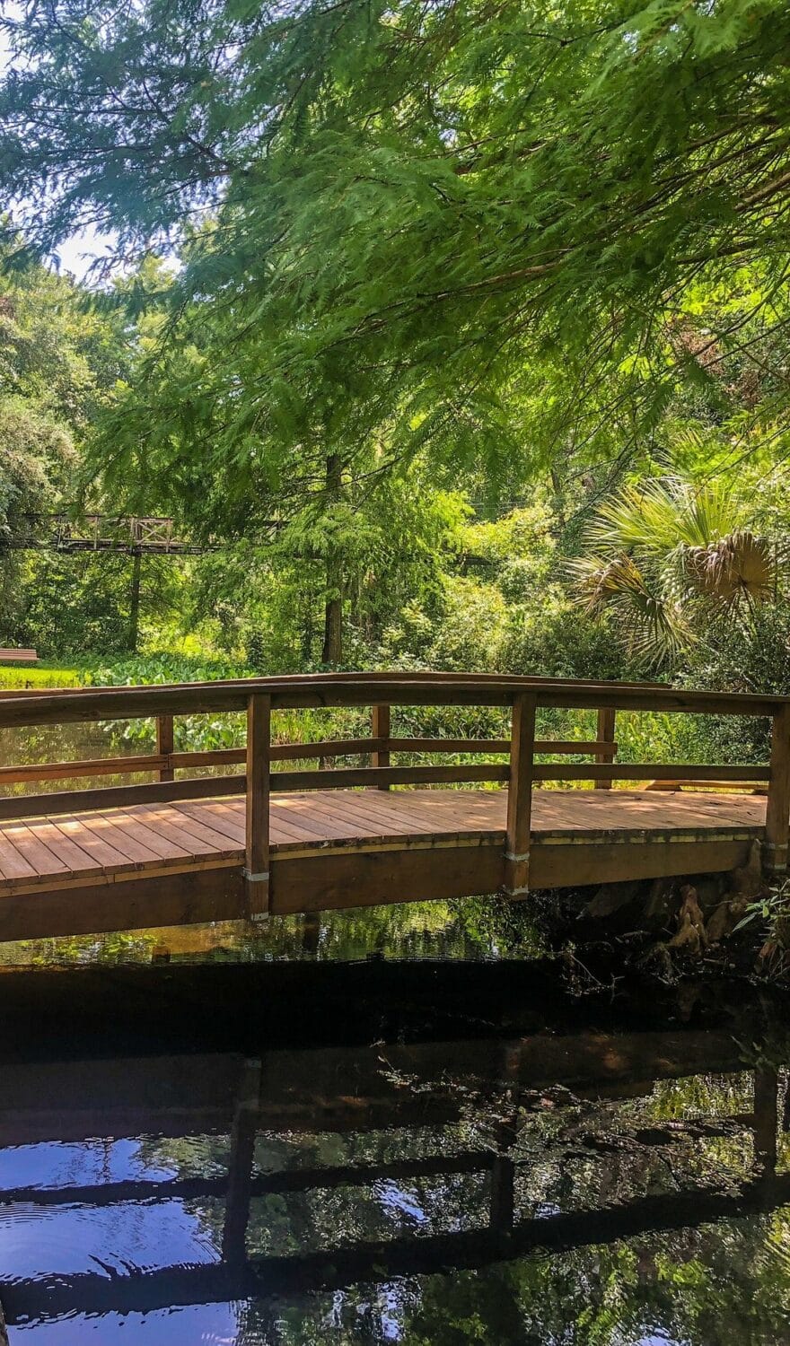 A picture-perfect footbridge.