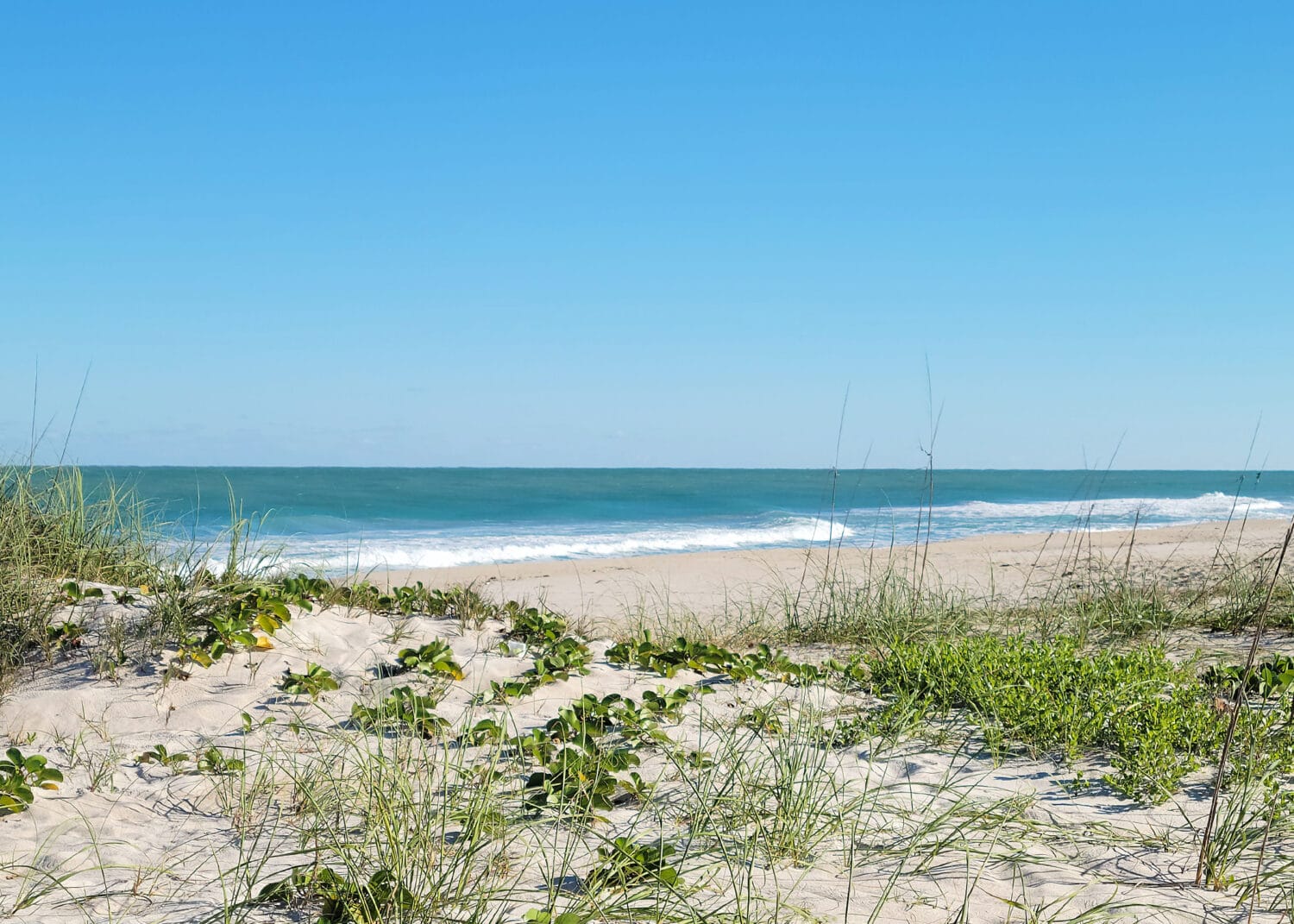 A picture perfect image of the beach.