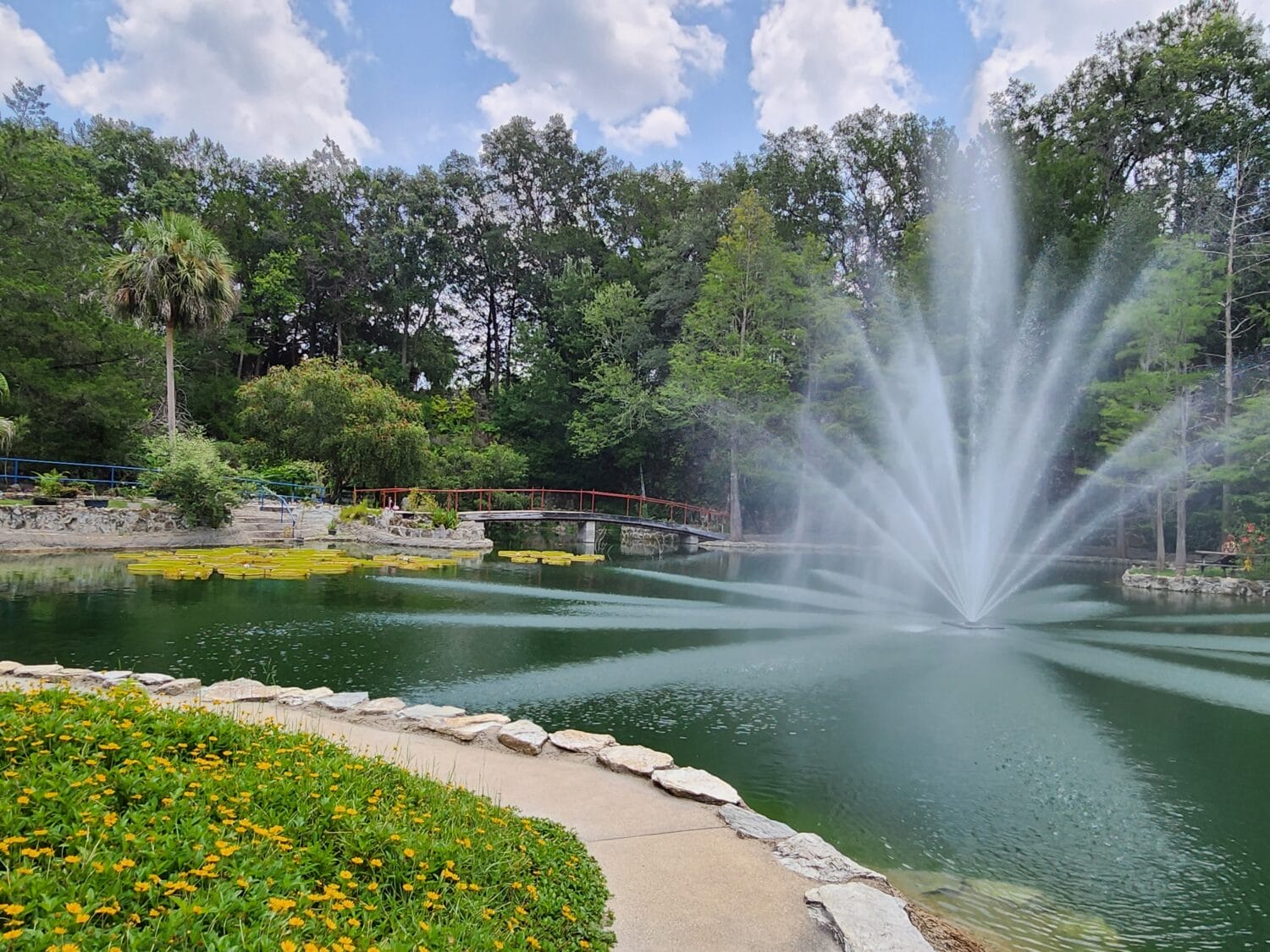 A serene slice of nature in Cedar Lakes Woods and Gardens.