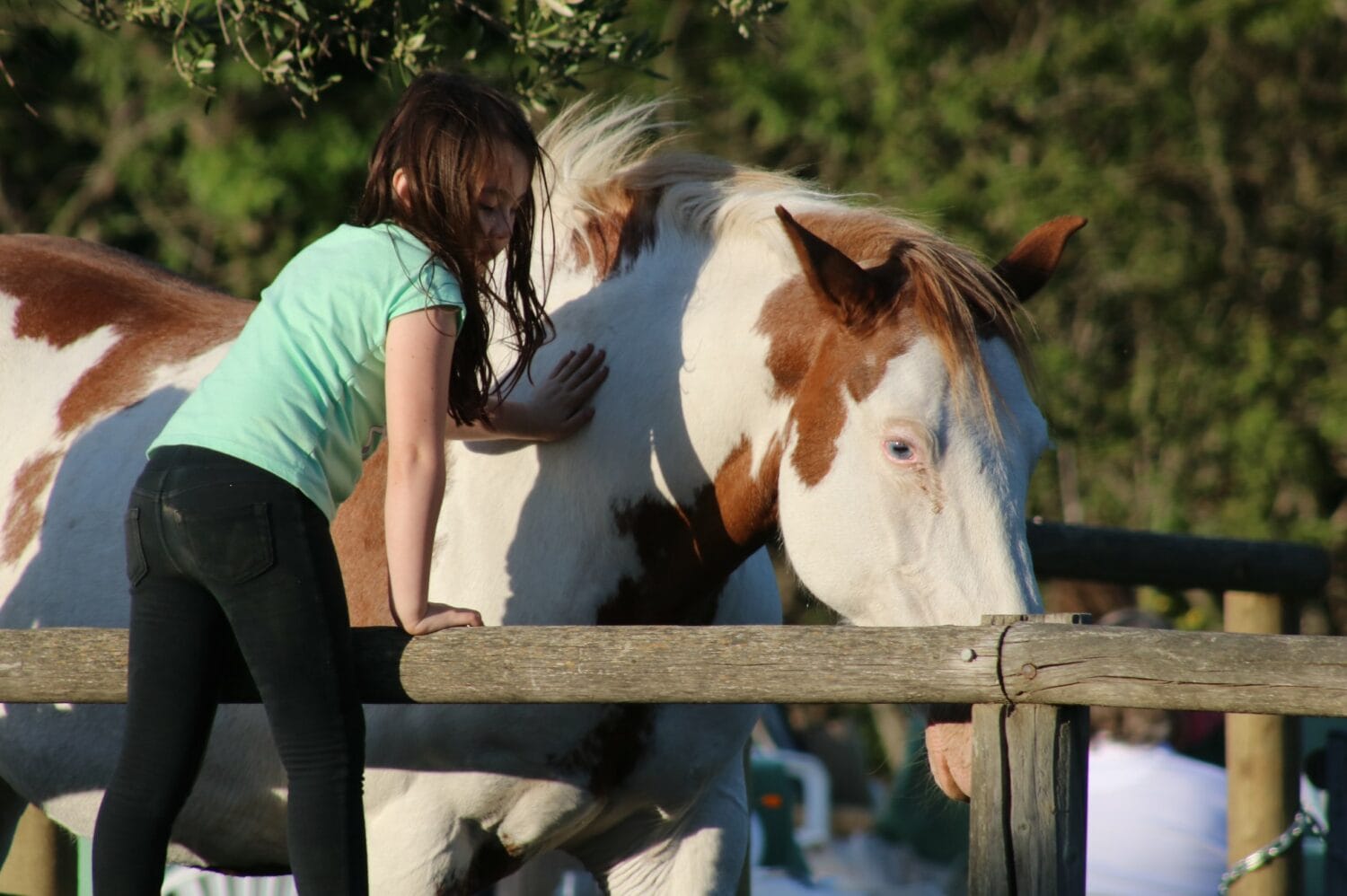 a shot of a child and a horse