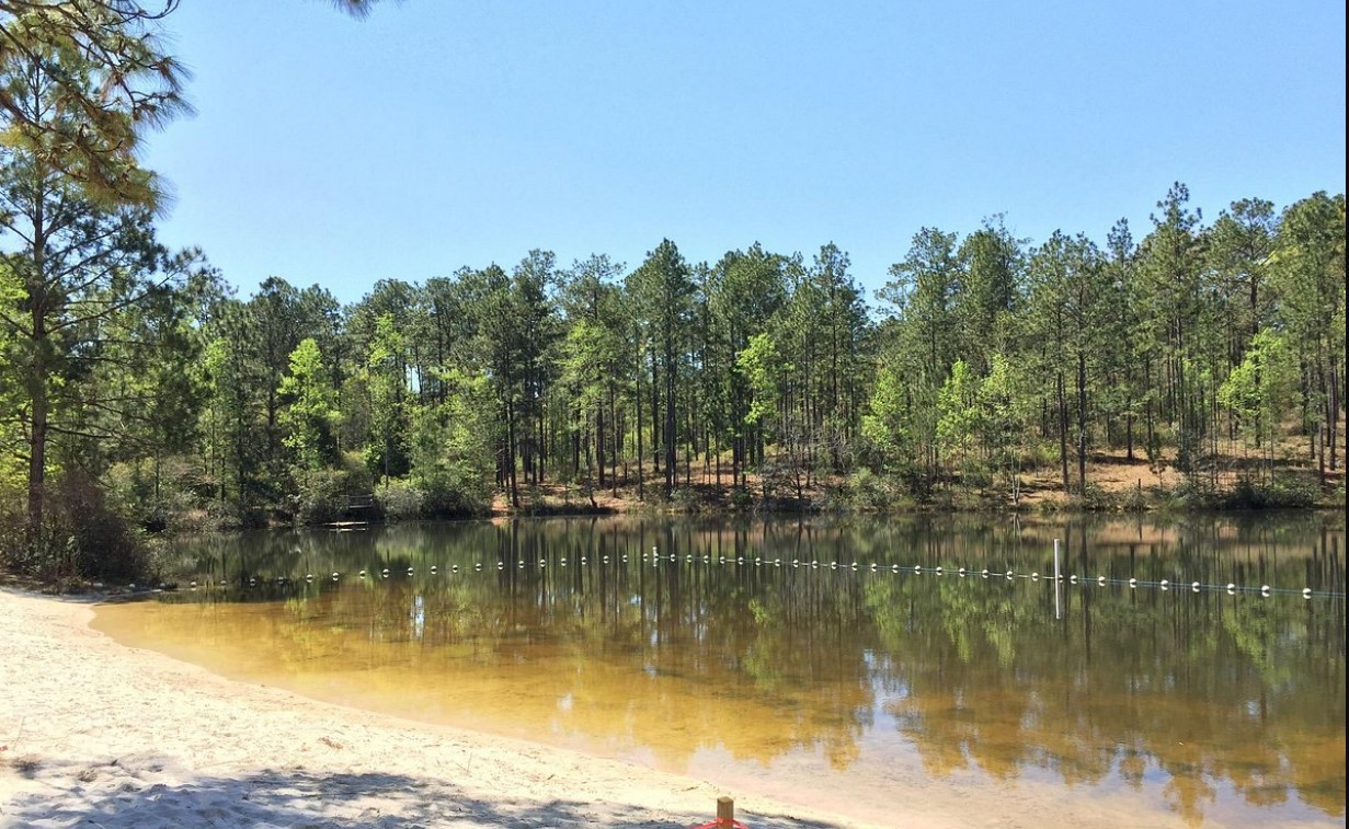 a small creek in the park