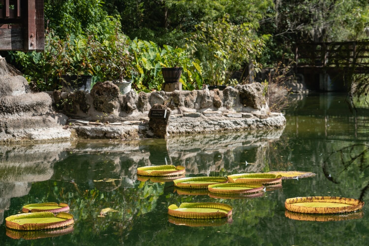 A  spectacular botanical garden with semitropical plants.