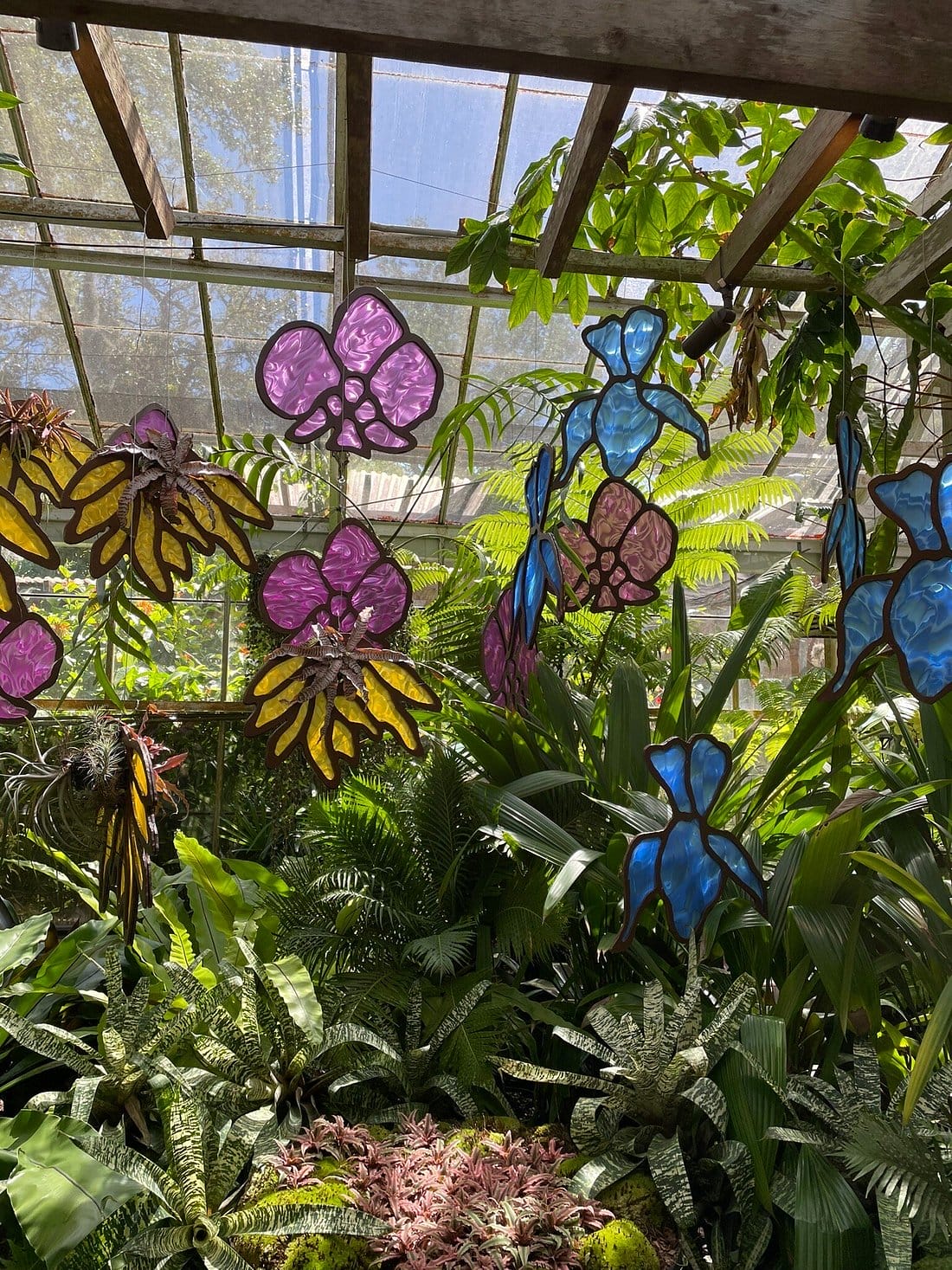 A spectacular display around the garden.