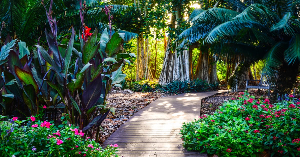 A stunning pathway within the gardens