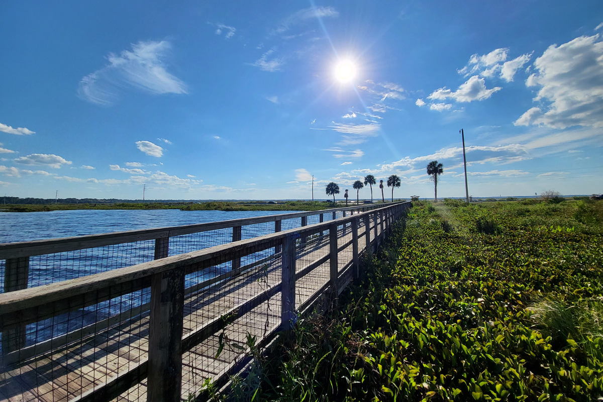 a sunny day at paynes prairie state park