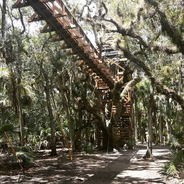 a towering canopy walkway structure integrated with the natural forest environment offering an elevated path through the trees