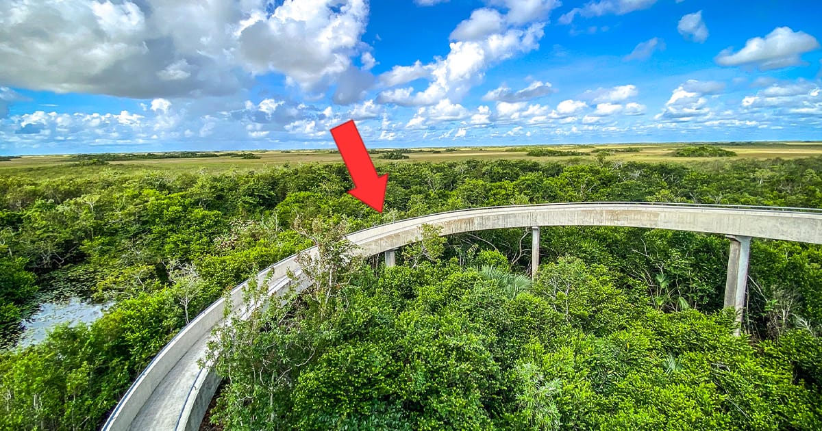 a trail leading to the overlook arrow