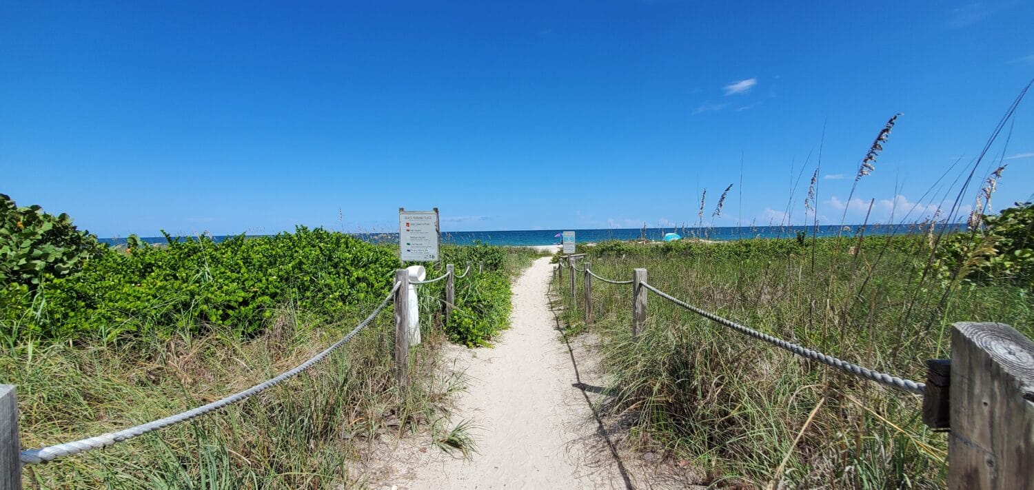 A view of an unspoiled nature.