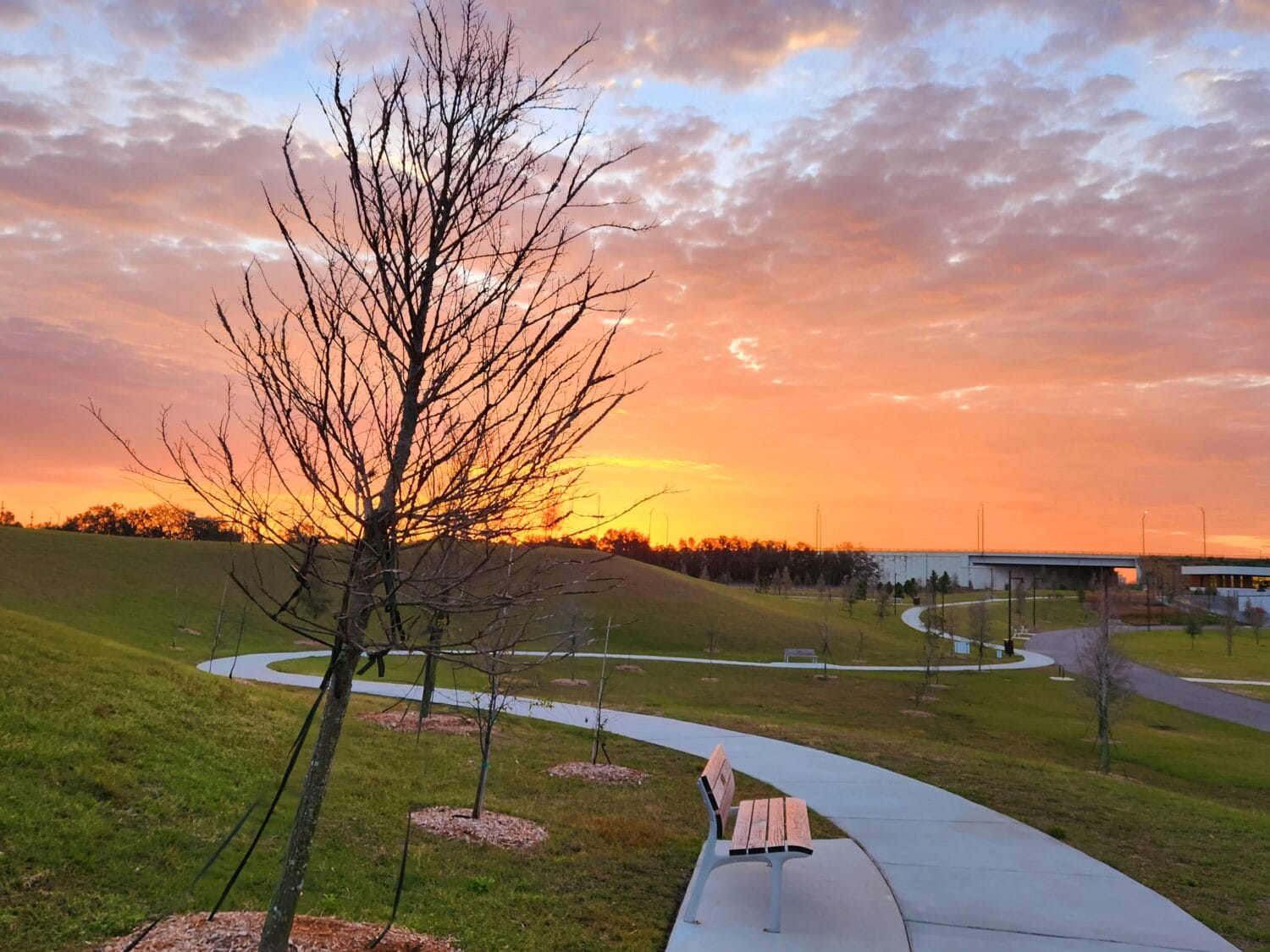 A view of the former rail-yard-turned family park.