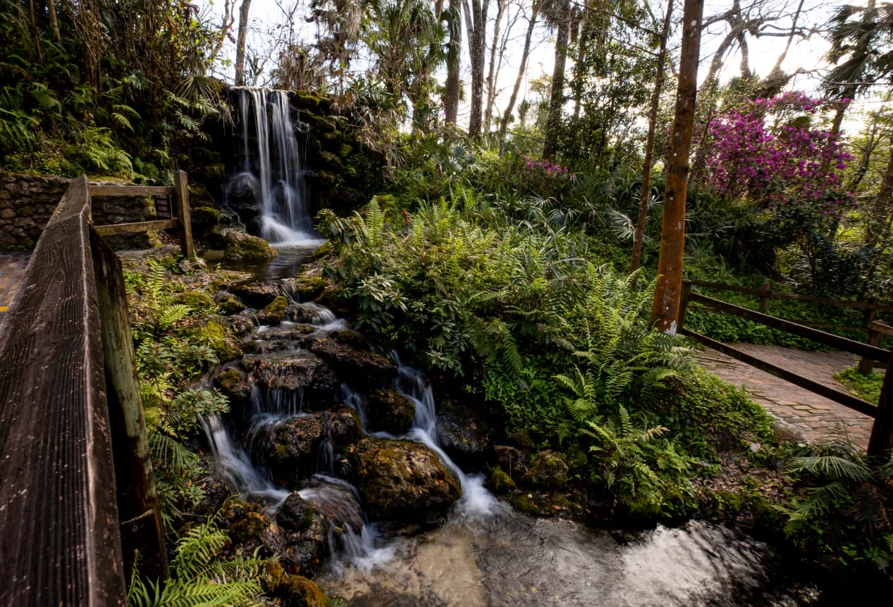 a view of the waterfalls