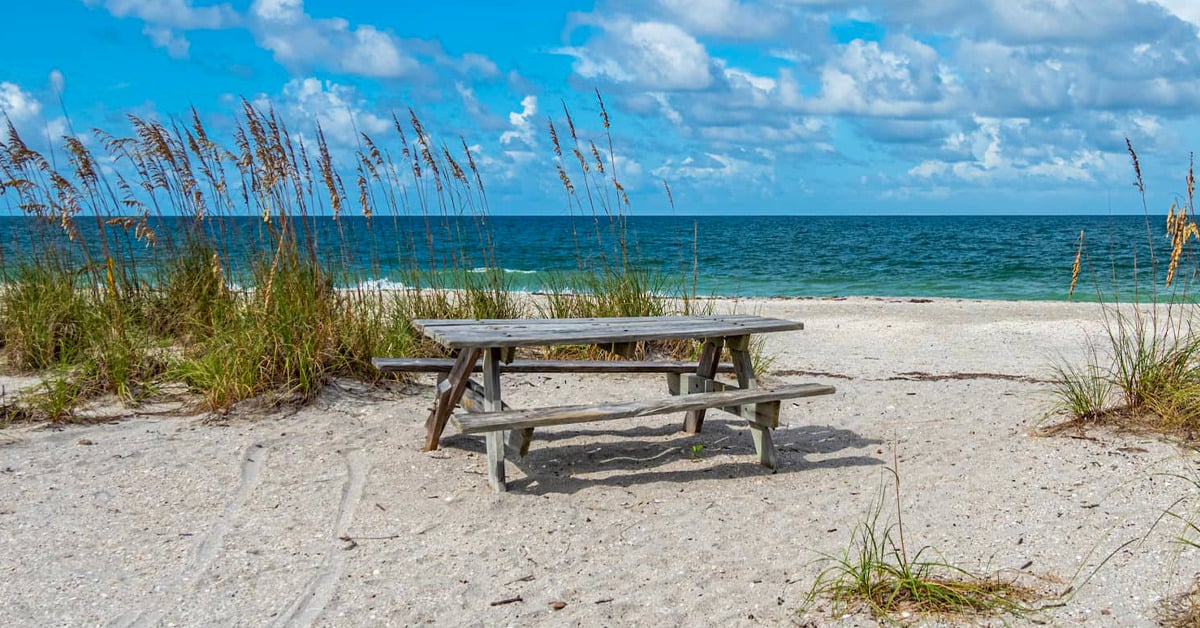 A warm and sunny day in Englewood.
