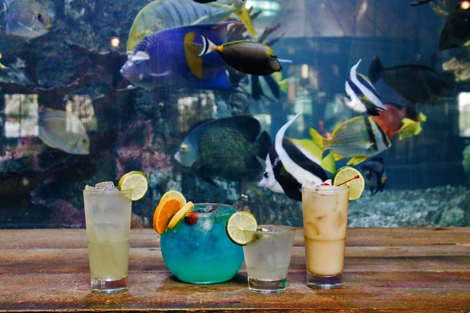 a wide selection of beverages