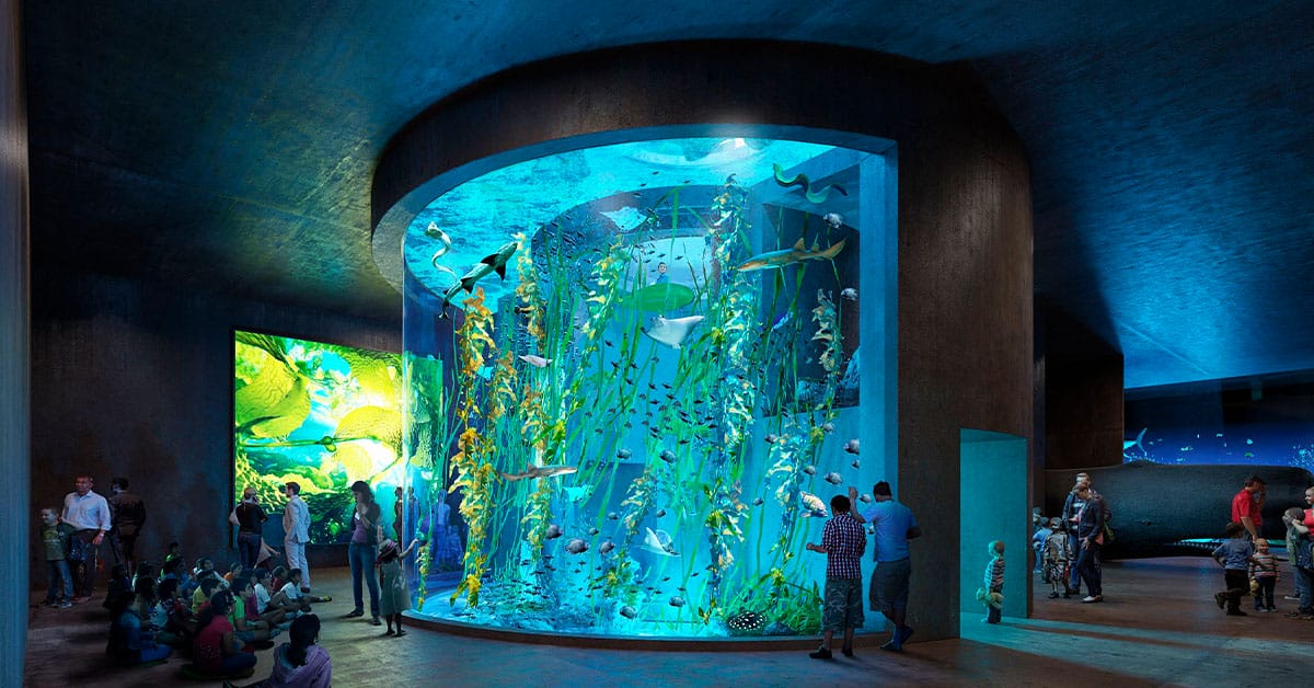 The striking aquariums of Acuario Mazatl&aacute;n. 