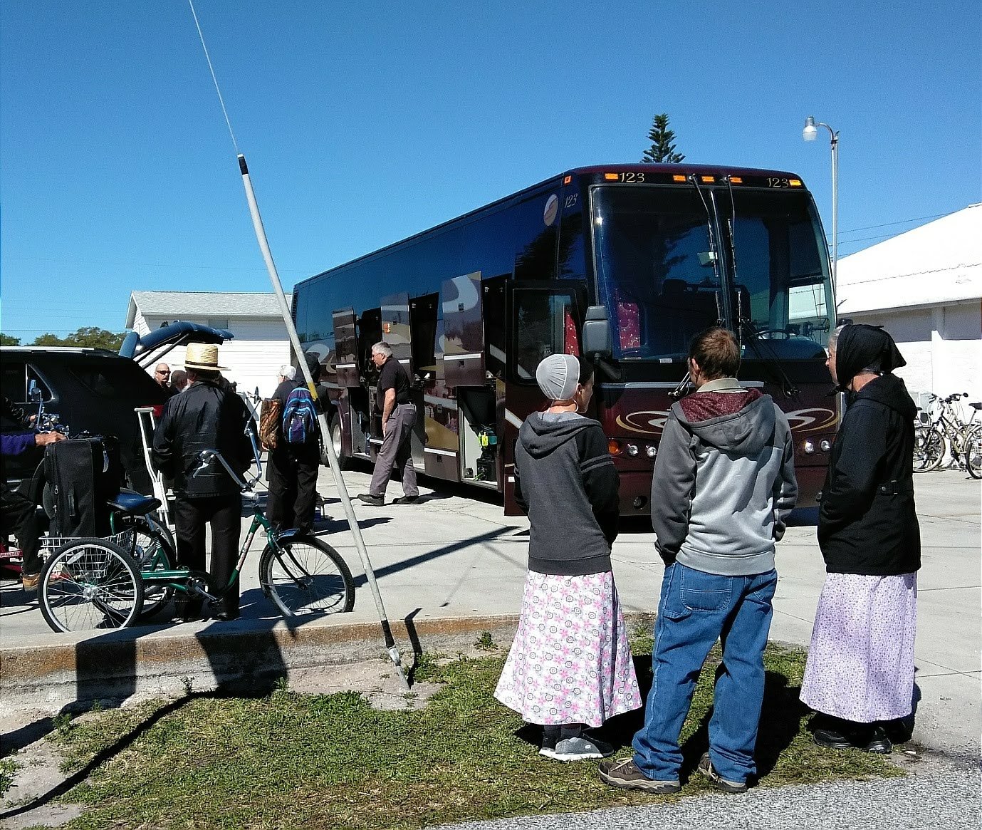 Amish and Mennonite folks