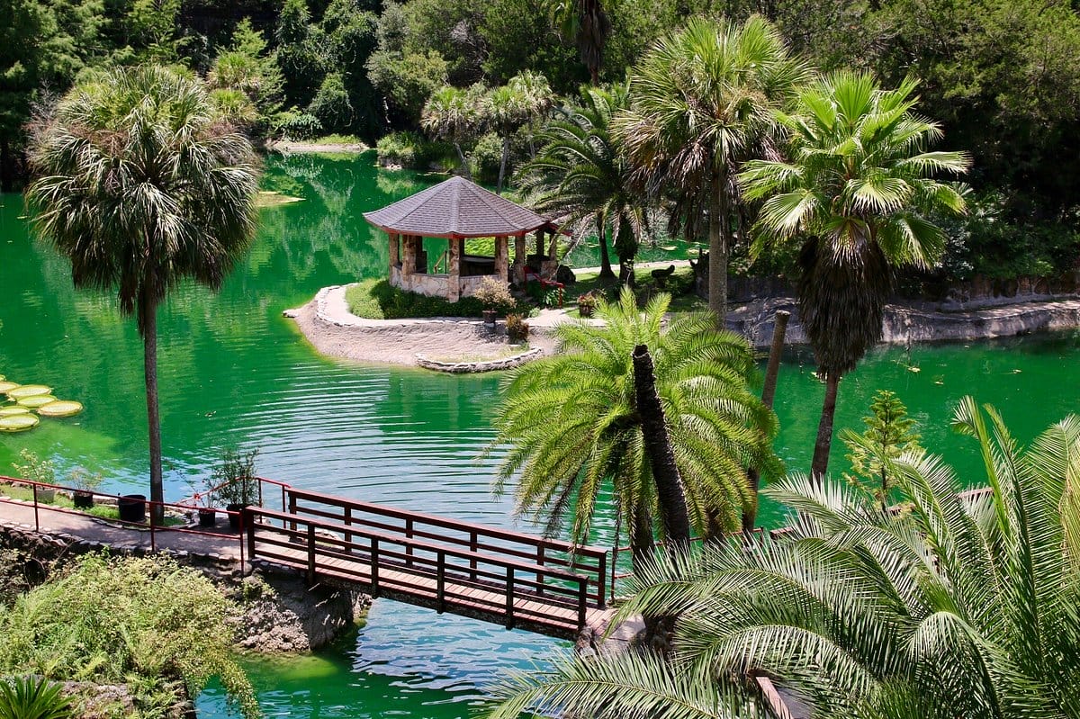 An aerial view of the garden.