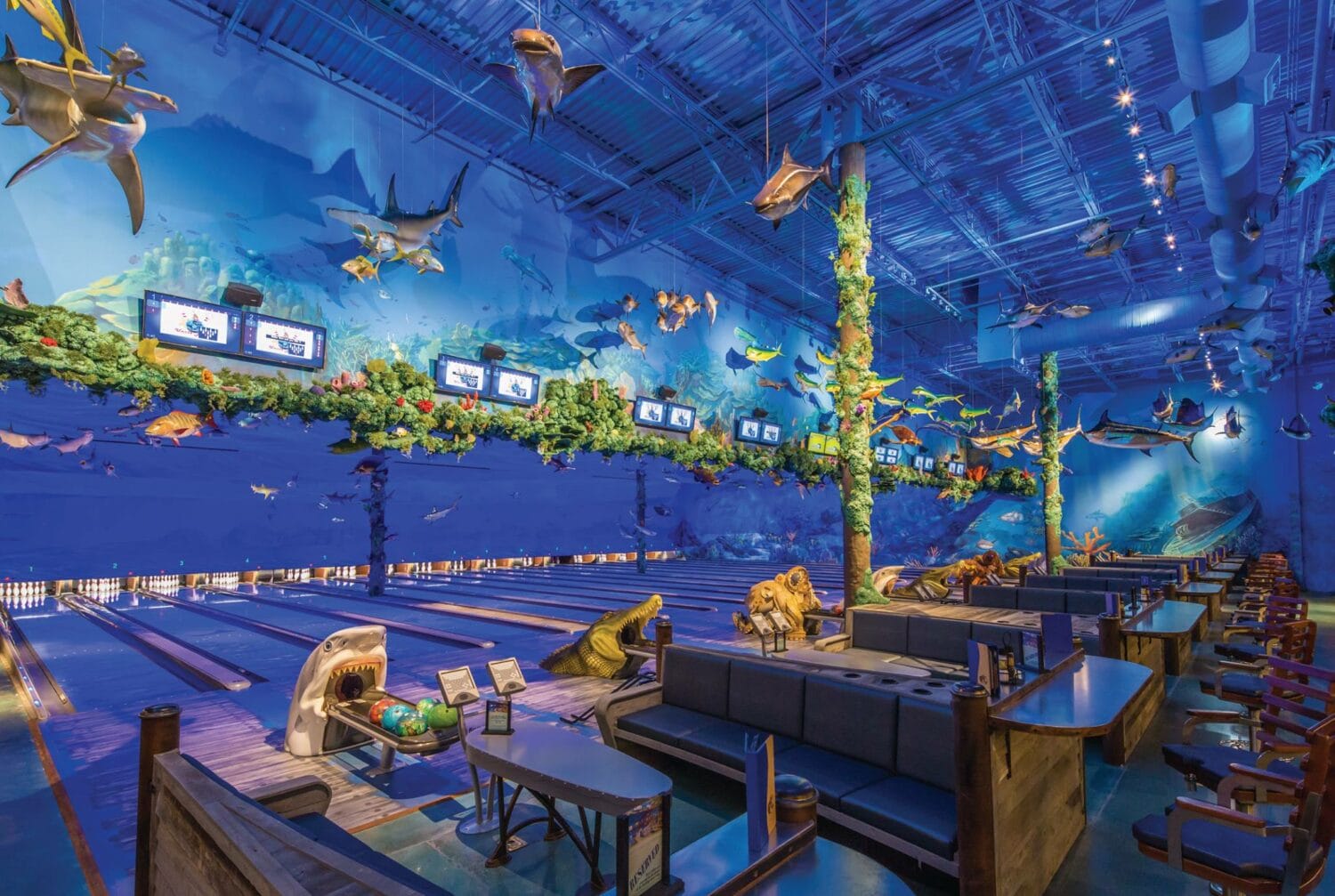 An awesome shot of the restaurant where family can experience fun and excitement