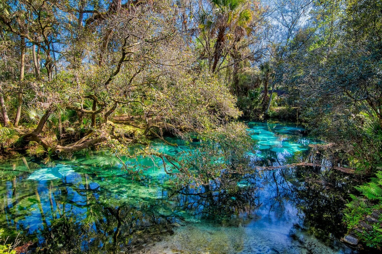 An enchanting image of the recreational area