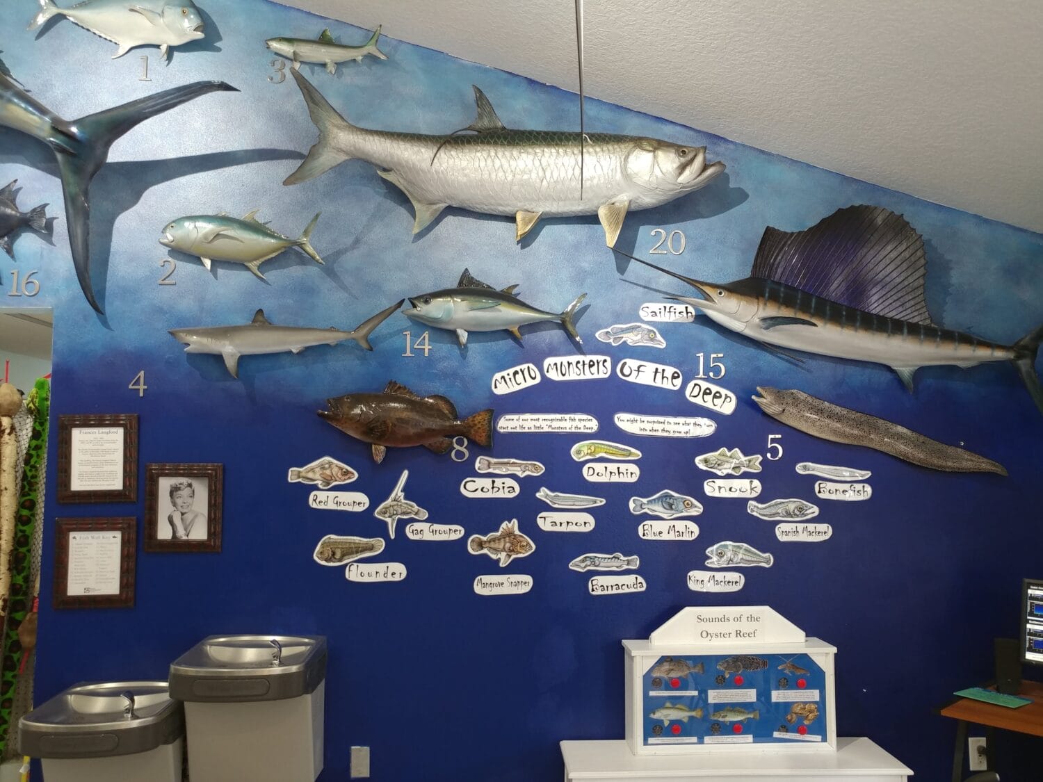 an exhibits of educational materials inside the center