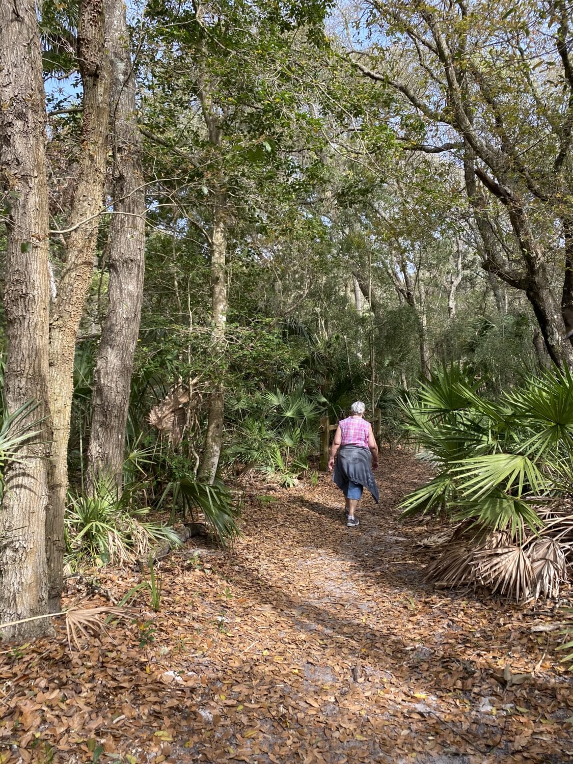 An image of a lady hiking.