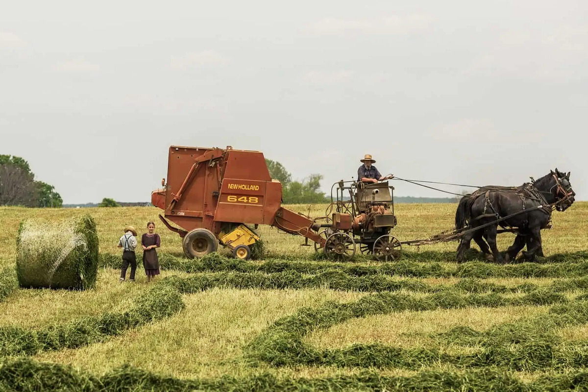 An image of a simple living in Pinecraft