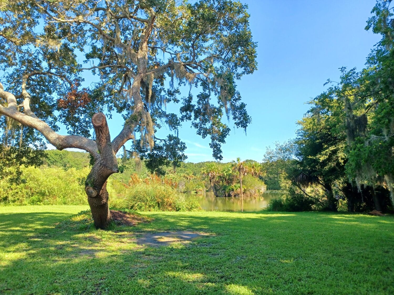 An image of serene part of the park overlooking a quaint stream.