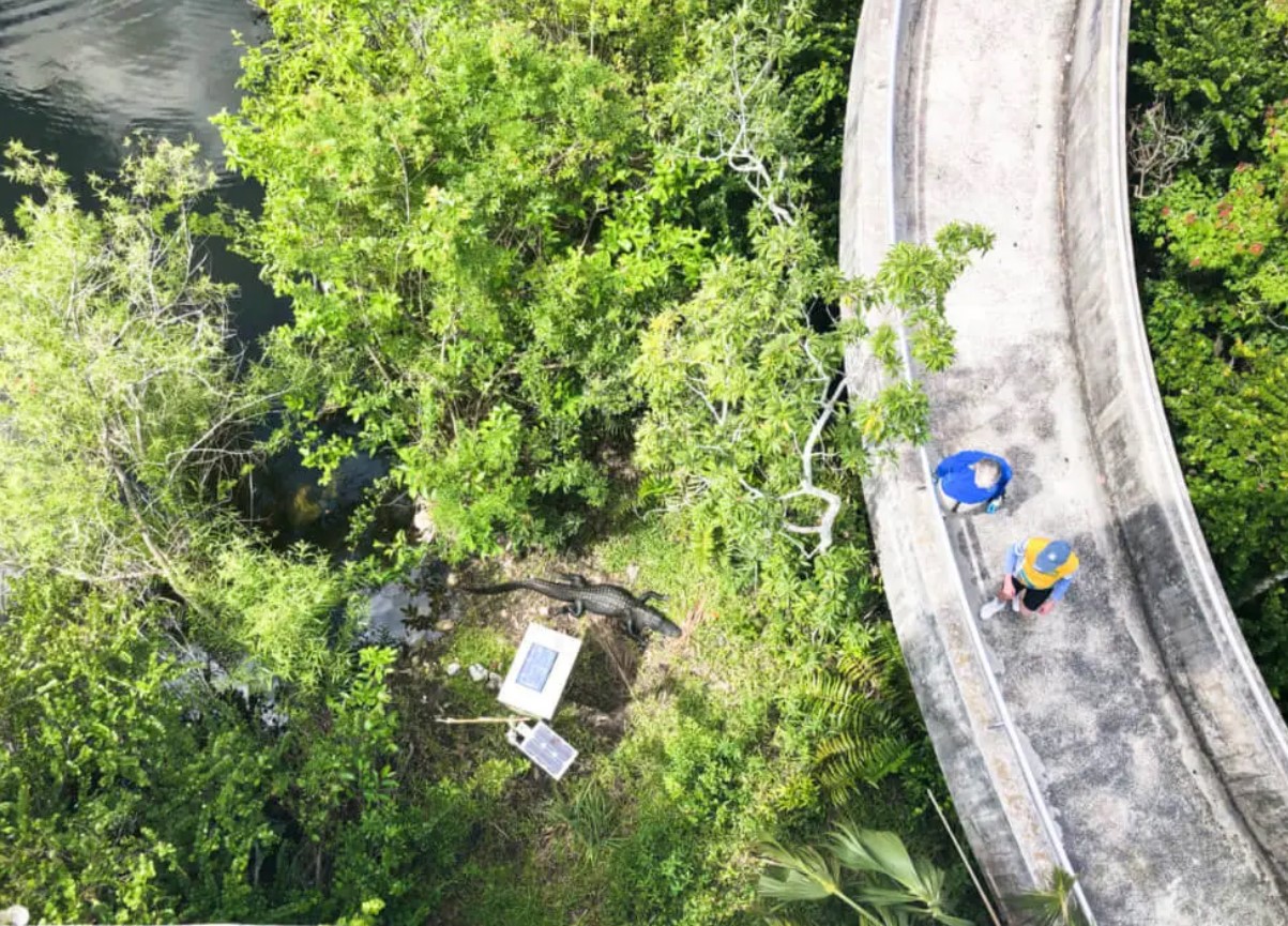 bikers admiring the scenery