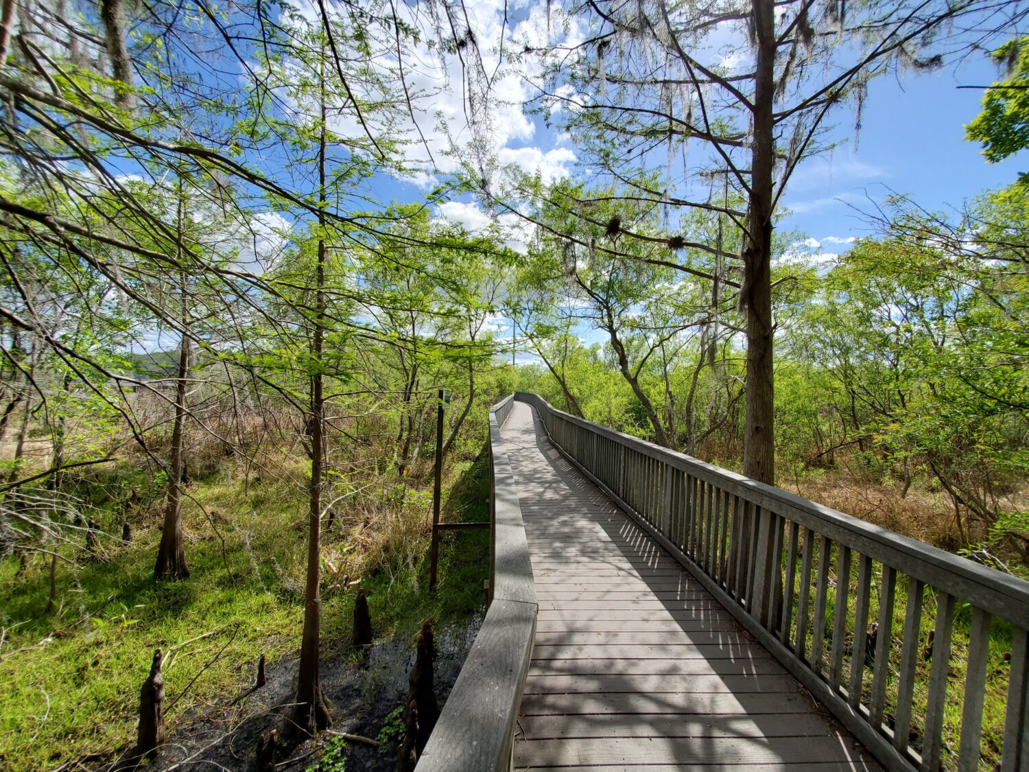 Black Bear Wilderness Trail in Sanford, Florida